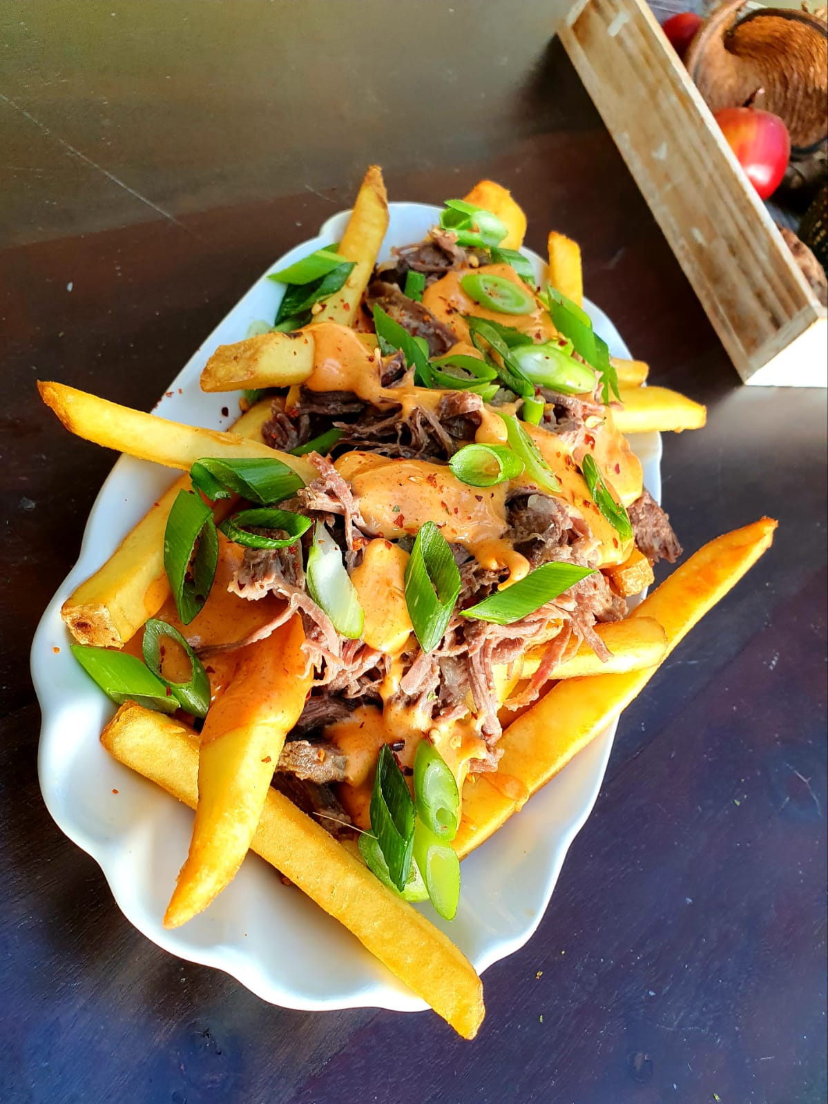 Aktuelles – Forum :terra nova